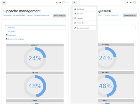 CSS Conflicting With Moodle Themes Issue Amnuts Opcache Gui GitHub