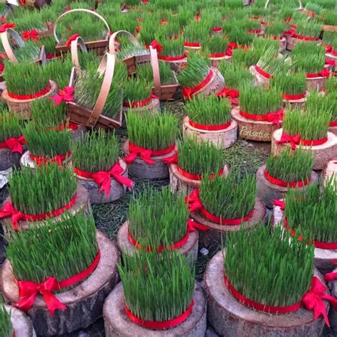 「afrooz」おしゃれまとめの人気アイデア｜pinterest｜afrooz Akbari