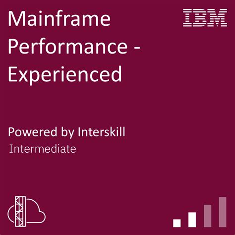 Mainframe Performance Experienced Interskill Learning