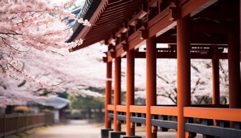 Cherry Blassom A Photo Of Cherry Blossoms Framed By A Traditional Japanese Torii Gate Premium