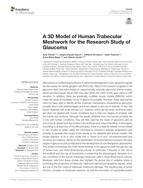 Pdf A 3d Model Of Human Trabecular Meshwork For The Research Study Of