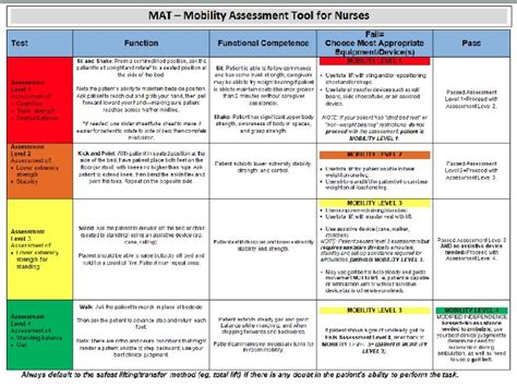 Safe Patient Handling Bedside Mobility Assessment Tool Bmat