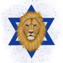 Modern Lion Of Judah Star Of David Photo Print Zazzle