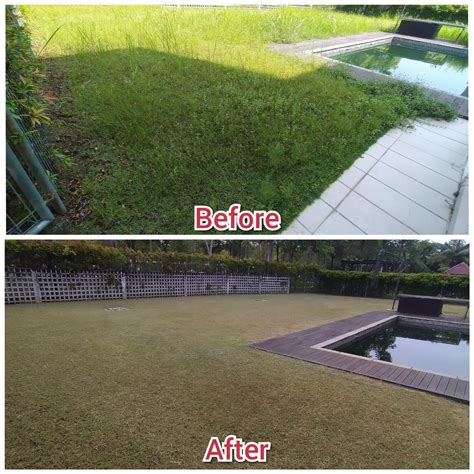 Before And After Pics Mr Sandless Before And After Lawn Aeration And
