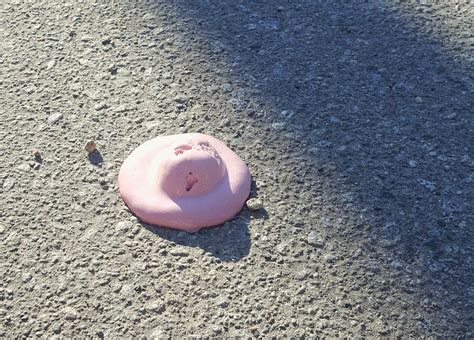 Pictures Of Ellen Macnevin