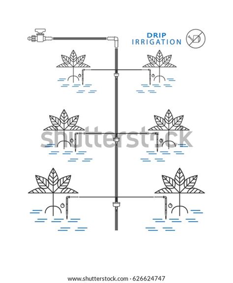 Linear Illustration Drip Irrigation System Stock Vector Royalty Free