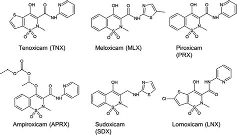 The Structures Of Oxicam Compounds Tenoxicam Tnx Meloxicam Mlx