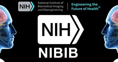 Sochol Led Team Awarded 2 7 Million By Nih To Develop 3d Nanoprinted Soft Robotic Catheters For