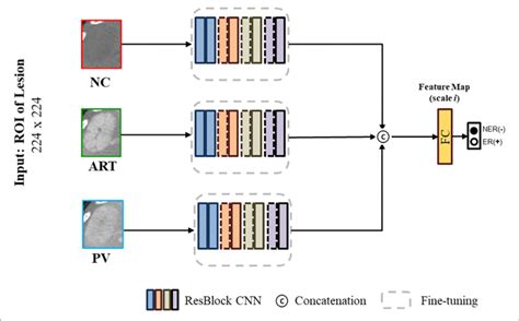 Basic Backbone Network That Was Designed Based On Resnet Download Scientific Diagram