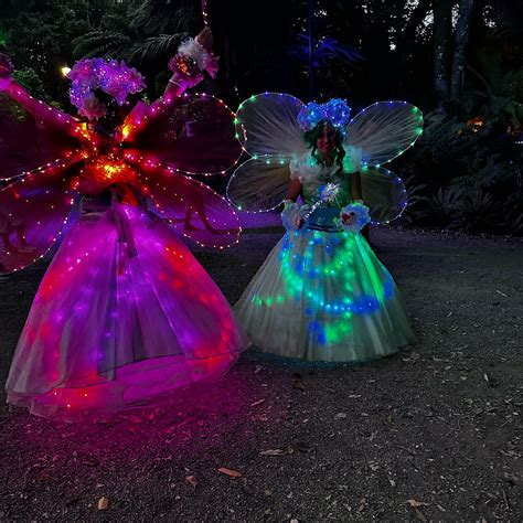 Chris Preece Youtube