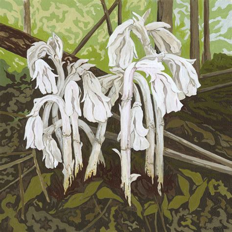 Roxanne Everett Surels Place