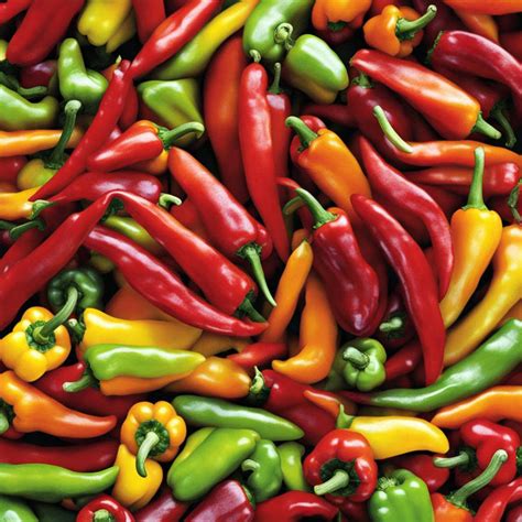 Assorted Peppers By Socalsecrets On Deviantart