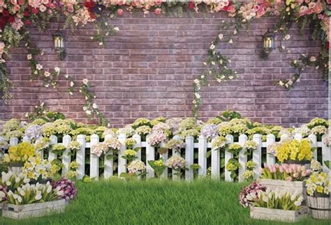 Spingtime Pcis Background All Dawgs Training Albany New York