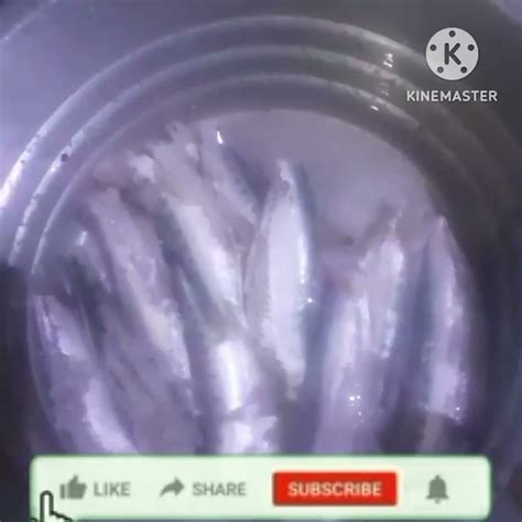 Homemade Homecooking Matthi Mulakittathe Youtube