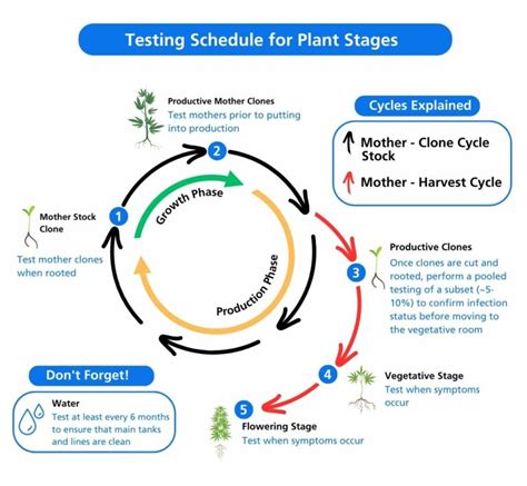 Hop Latent Viroid Hlvd And Pathogen Diagnostics A Comprehensive