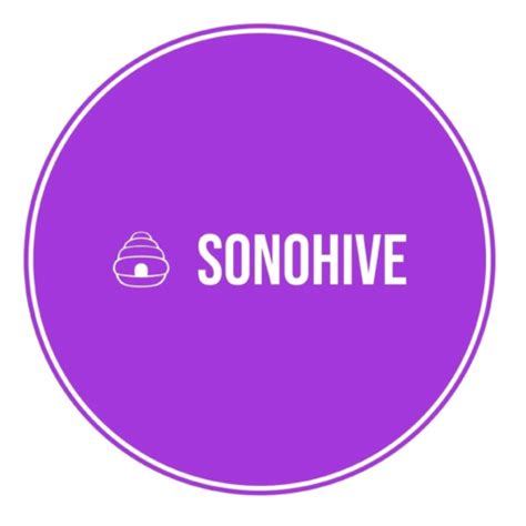 Calculus Within The Common Bile Duct Causing Biliary Obstruction Sonohive