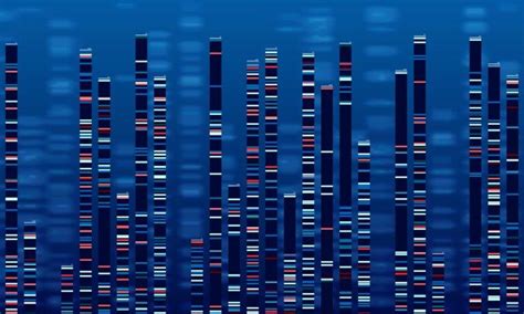 Advanced Genetic Testing Is Largely Inaccessible To Cancer Patients