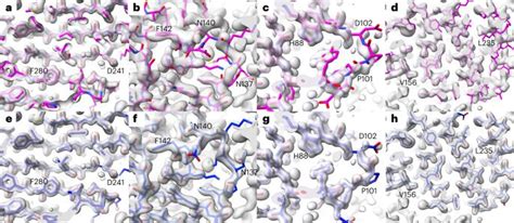 Oliviero Carugo On Linkedin Alphafold Predictions Are Valuable Hypotheses And Accelerate But Do