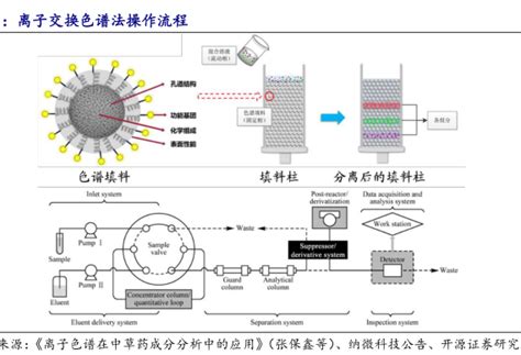 离子交换色谱法操作流程 2025年07月 行业研究数据 小牛行研
