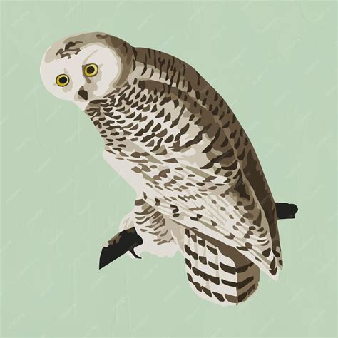 Vektorisiertes Schnee Eulen Aufkleber Overlay Designelement Kostenlose Vektor