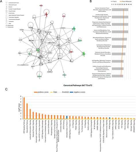 Functional Categorization Of Differentially Expressed De Genes In