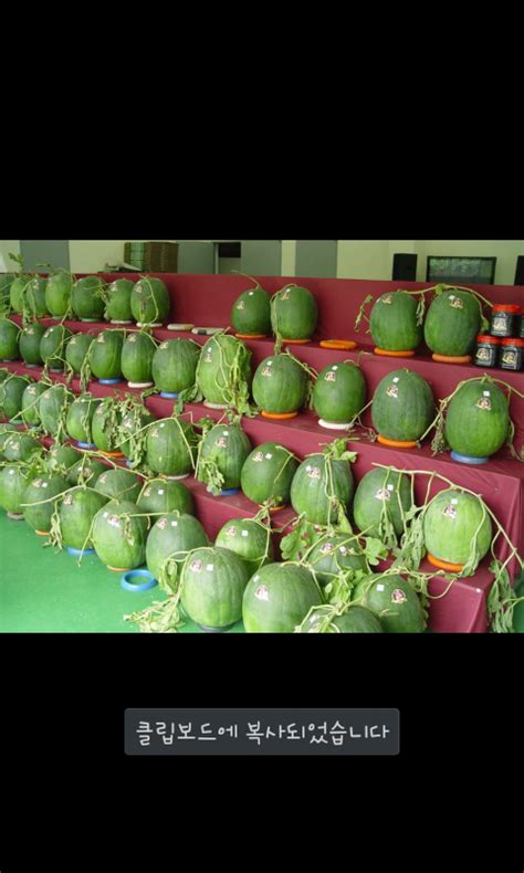 무등산수박마을 Moodeung Subak Twitter