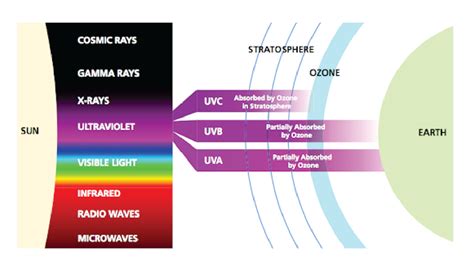 Uv C Knowledge Pt Nurinda