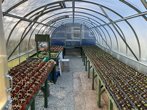 Polyeco Classic Polyeco Greenhouses