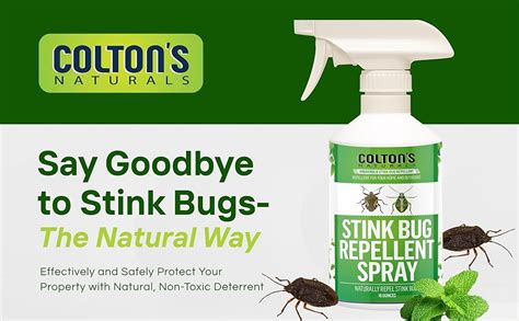 Stink Bug Repellent Spray Natural Indoor And Outdoor Bug Repellent Helps Repel Stink
