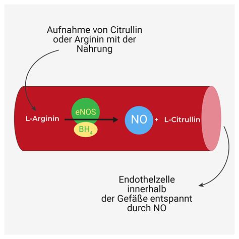 Citrullin Götterspeise® Nem
