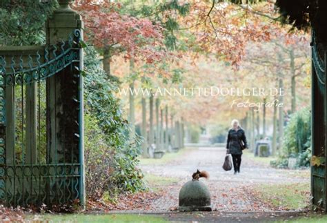Der Braunschweiger Hauptfriedhof Im Herbst Fotograf Braunschweig Für Hochzeitsfotografie