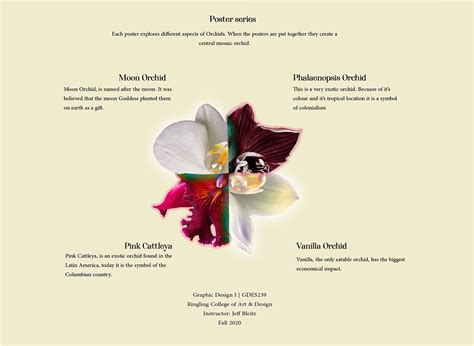 Orchid Poster Series On Behance