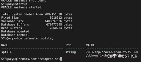 数据库实验 Oracle命令行启动一个新的数据库 知乎
