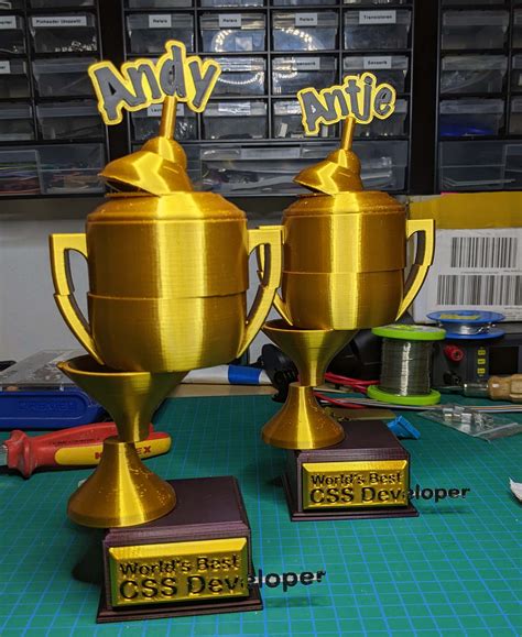 Trophy Worlds Best Css Developer Glueable Lid Edition By Flazer