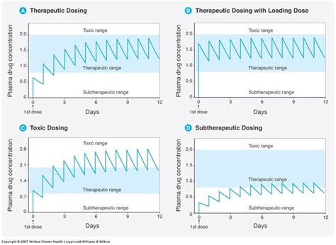 Drug Steady State