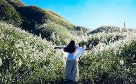 Lang Son Completes The Provincial Peoples Committee Members