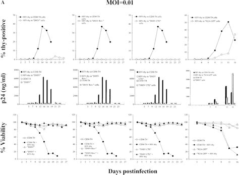 Kinetics Of Hiv Thy Replication In Clonal Cem T4 Cells Bearing