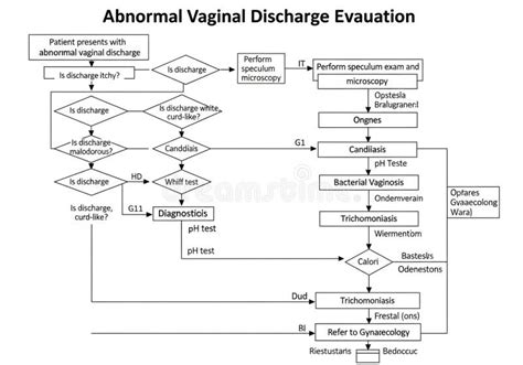 Flowchart Titled Abnormal Vaginal Discharge Evaluation Stock
