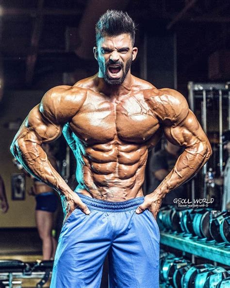 Sergi Constance Bodybuilding