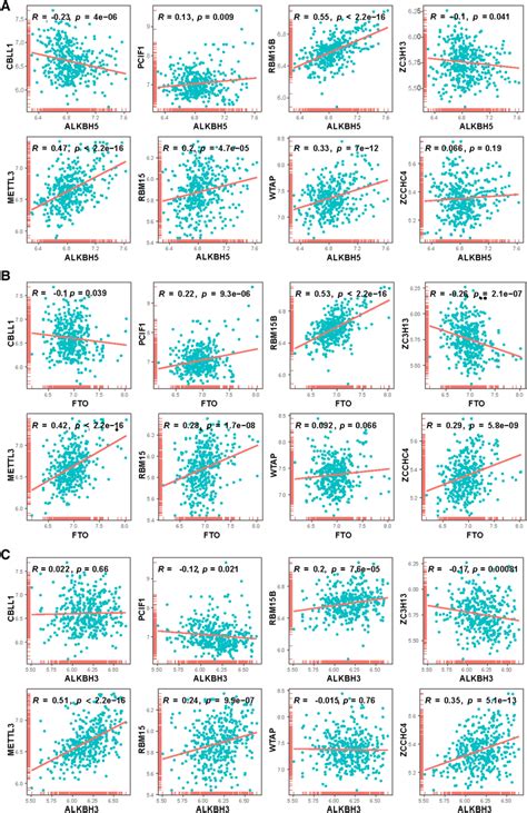 Correlation Between Writers And Erasers In Chd Patients 8 Writer Genes
