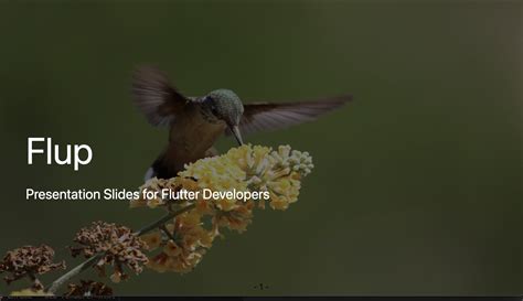 GitHub Sugitlab Flup Markdown Presentation Writer