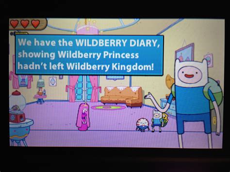 Adventure Time Wildberry Princess Human