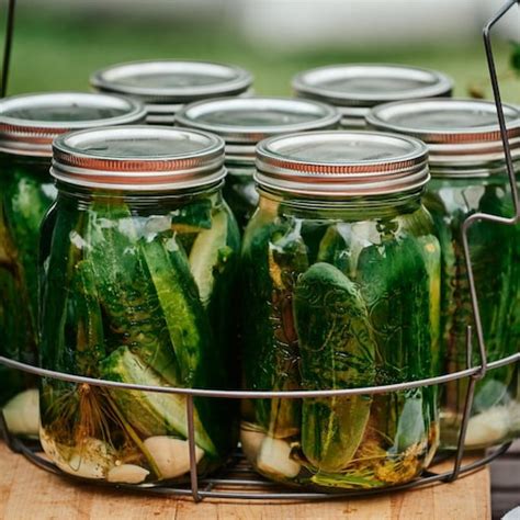 15 Recettes Inspirantes De Légumes Marinés Mordu