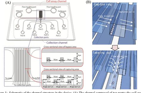 Figure 1 From A Microfluidic Device For Highly Efficient Processing Of