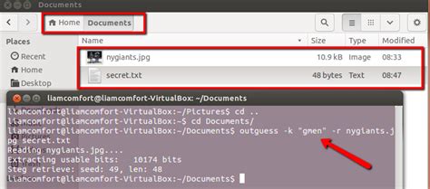 how to embed confidential data in a picture using outguess on ubuntu