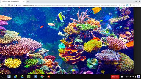 Oceans Diagram Quizlet