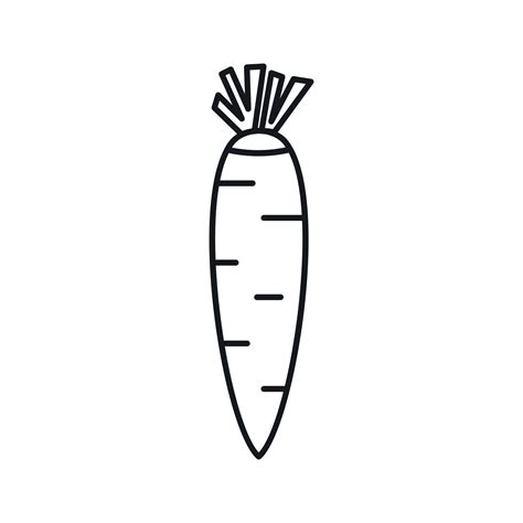 Carrot Icon Outline Style 14597697 Vector Art At Vecteezy