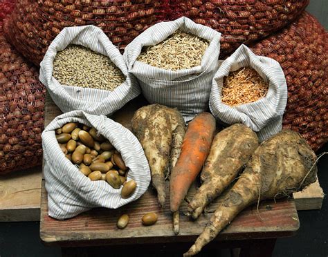 Kafija No Latvijas Lauku Veltēm Ciemos Pie Kafeju Alīda Un Paulīne