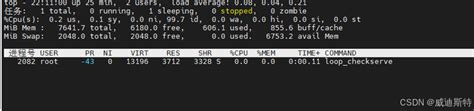linux命令：用于设置或获取进程的实时调度优先级的命令chrt详解 linux chrt csdn博客