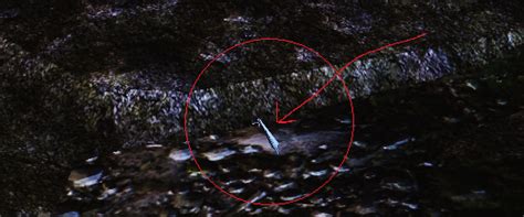 Characters Collapse Into A Singularity Once A Sexlab Animation Begins